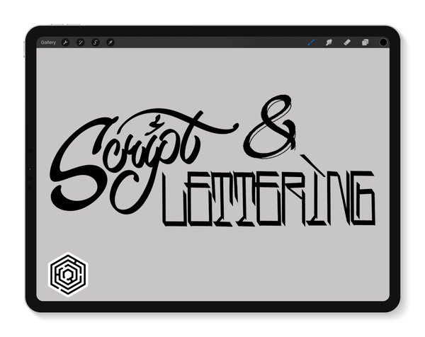 Script & Lettering